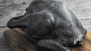 Ayam Cemani Chicken Breed Guide: Origin, Weight, Meat / Egg Production ...