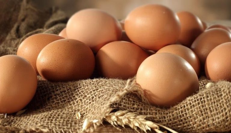 Rhode Island Red Chicken Breed Guide: Egg Production, Temperament, Care ...