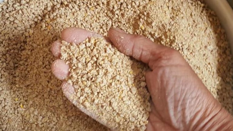 Feeding Baby Chicks : Step-by-Step Guide